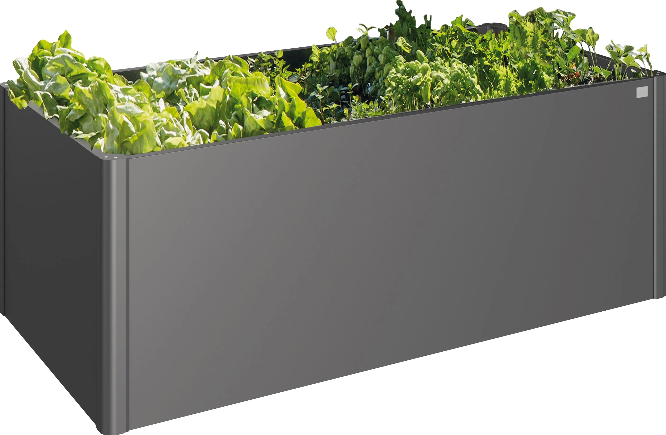 Pflanzbeet kaufen bei OBI